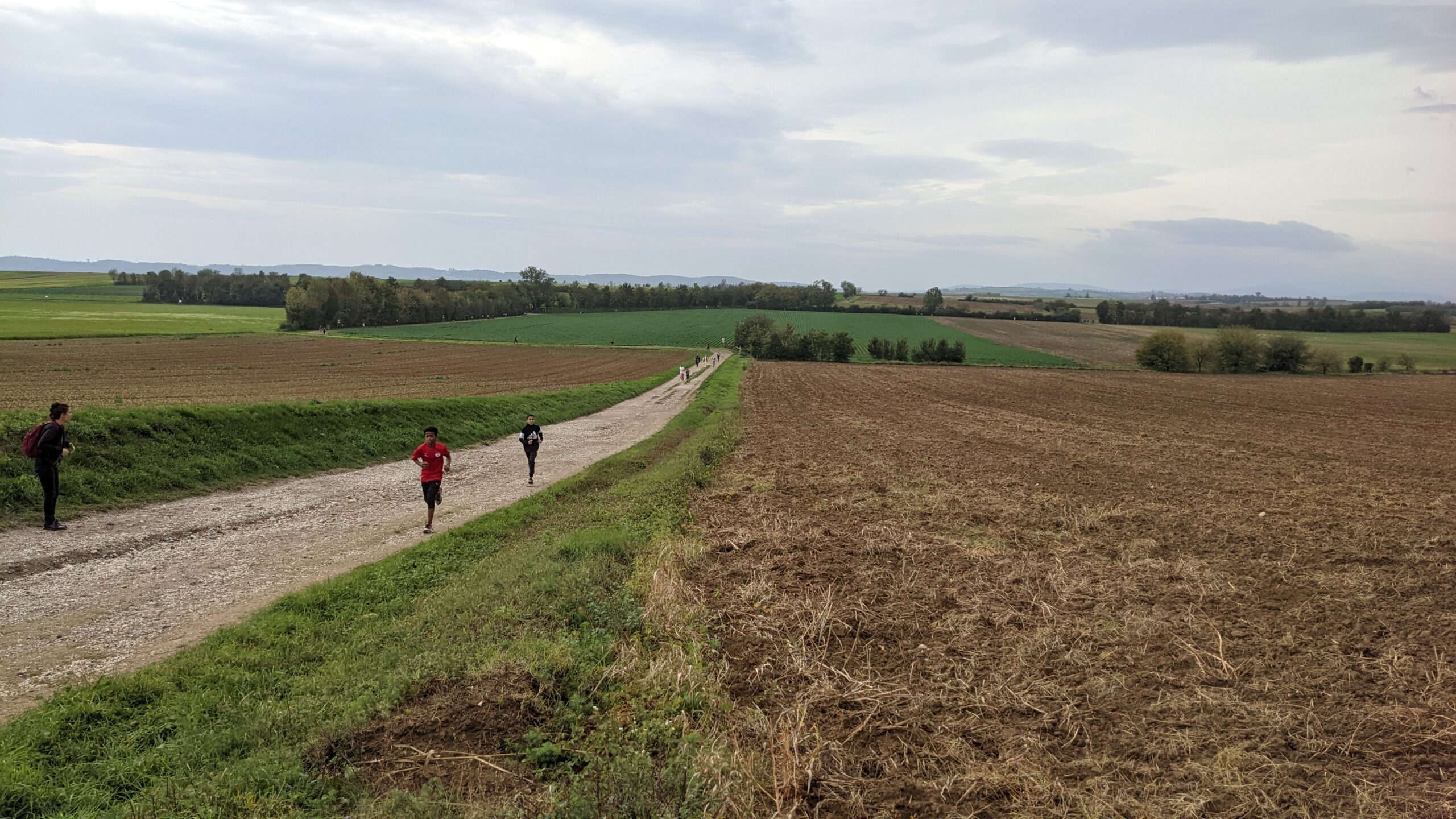 PXL_20221020_091259194 | Collège Frédéric Mistral